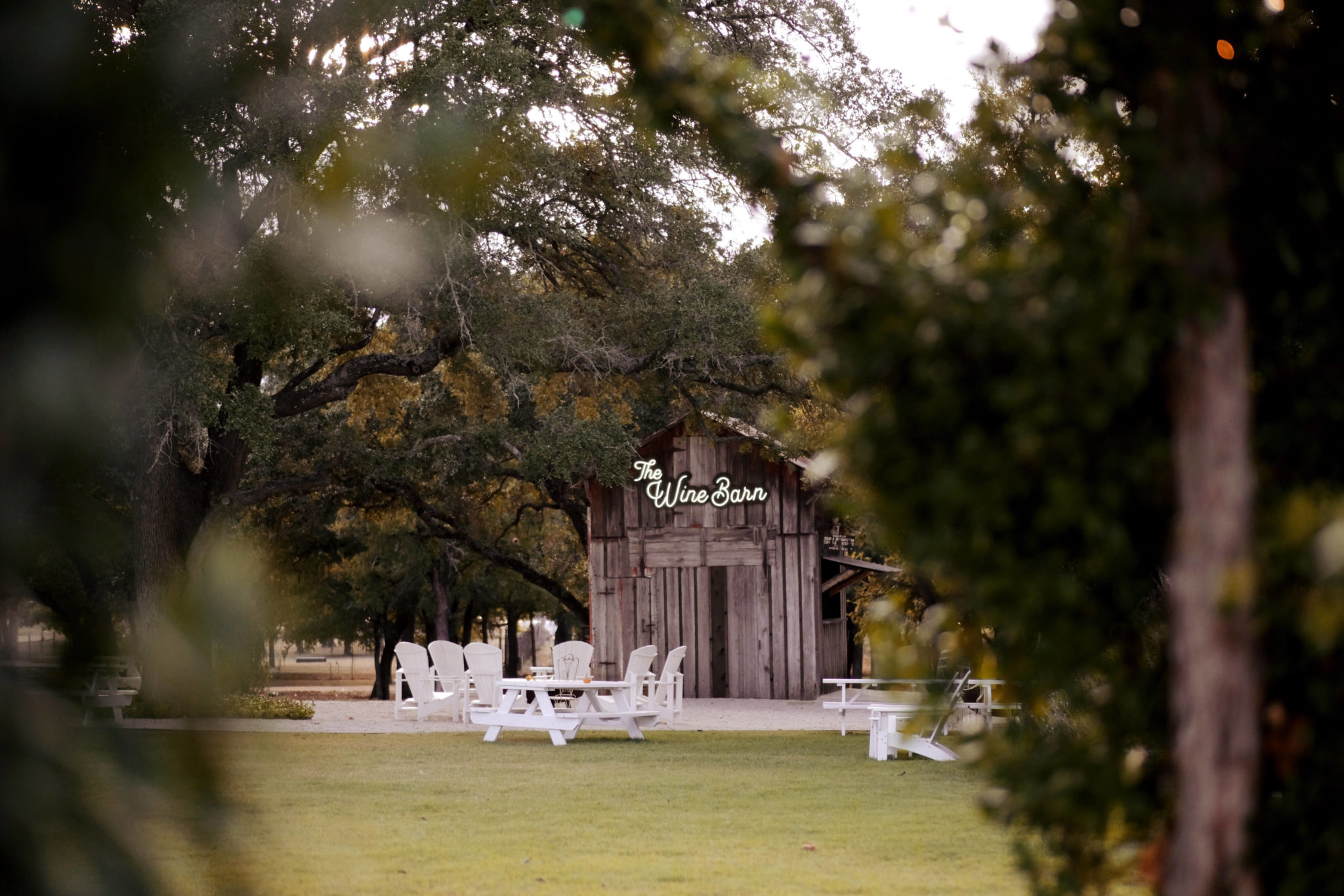 Welcome to Signor Vineyards - Signor Vineyards