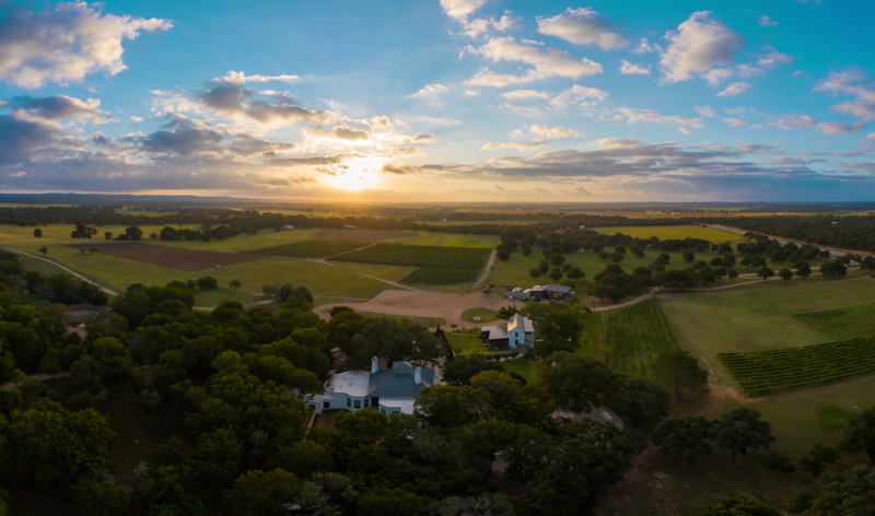 Welcome to Signor Vineyards - Signor Vineyards