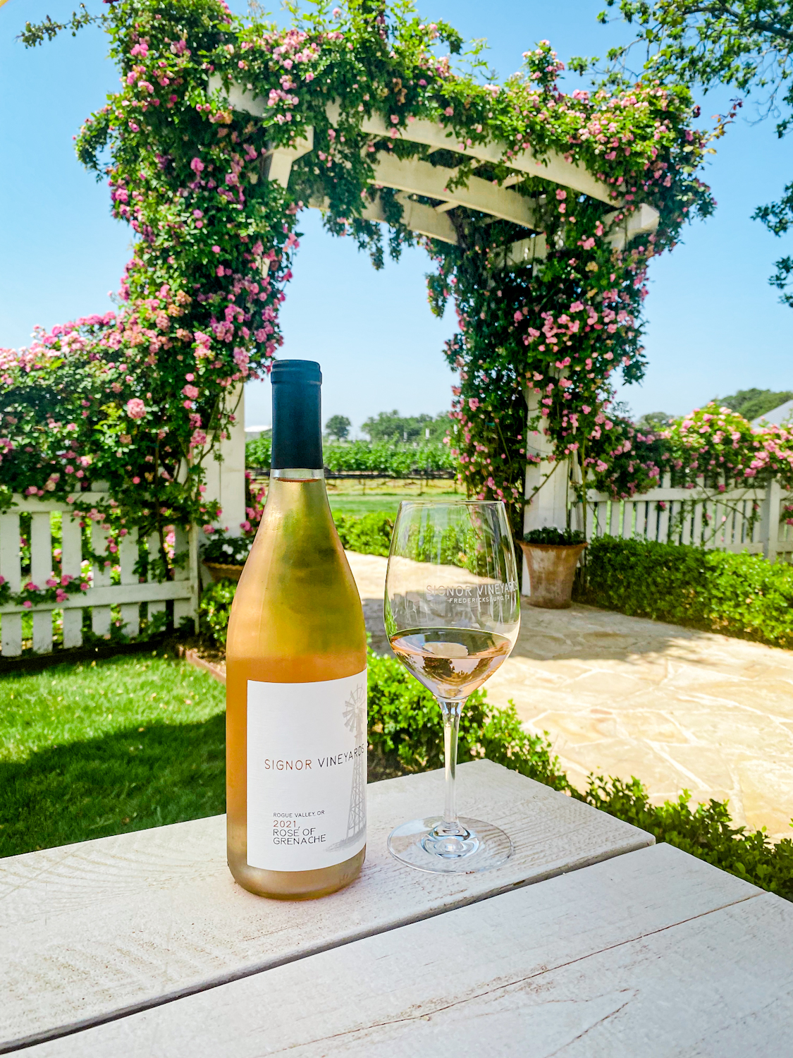 Rosé Wine - A Quick Lesson - Signor Vineyards